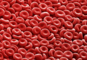 Hematíes Altos. ¿Qué Significa? Causas, Síntomas y Tratamiento