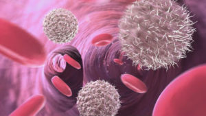 Monocitos - Definición, Funciones, Valores y Enfermedades Asociadas